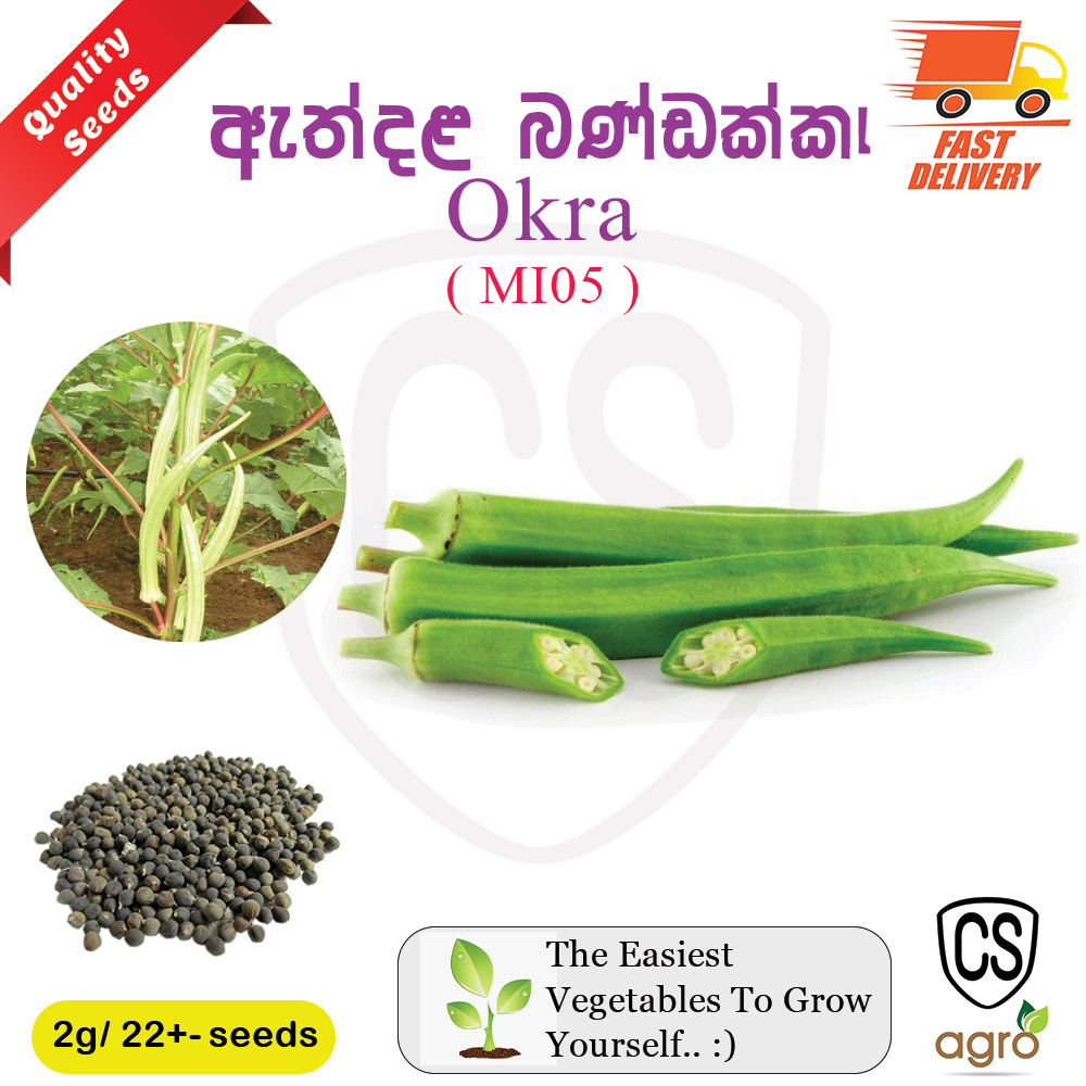 Ladies Finger Okra MI05 Seeds Gardening Agriculture Home Plant athdala ...