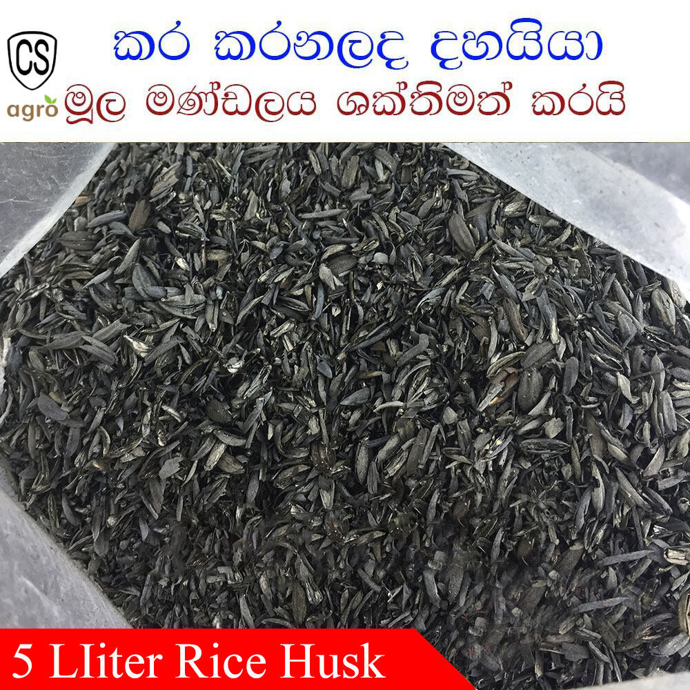 Paddy seeds husk charcoal කරදහයියා karadahaiya, කර දහයියා kara dahayiya ...