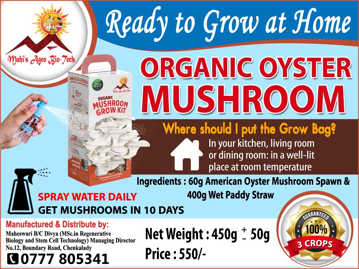 Mushroom grow kit bimmal hathu grow bags grow at home organic oyster ...