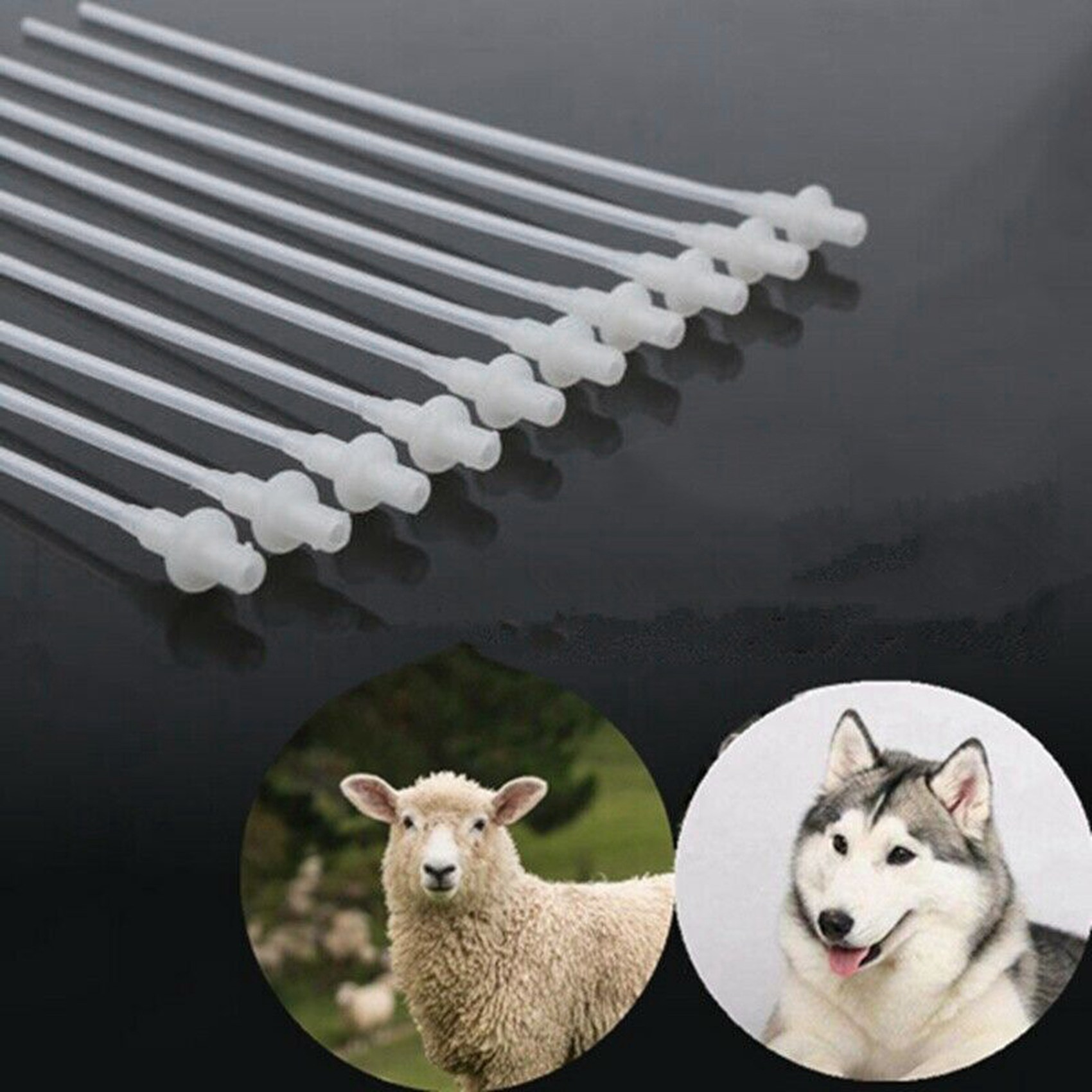 150PCS Artificial Insemination Rods Breeding Catheter Tube Dog Sheep ...