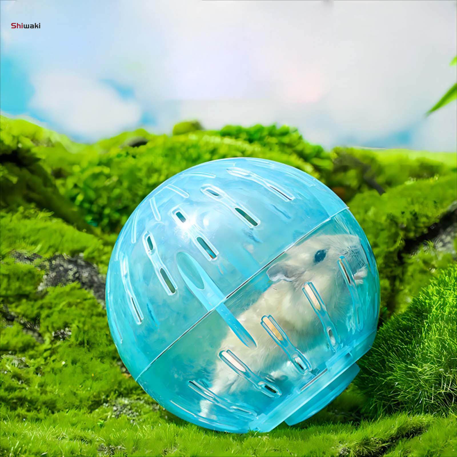 Small Hamster Ball Hamster Exercise Ball for Small Animals Cage ...