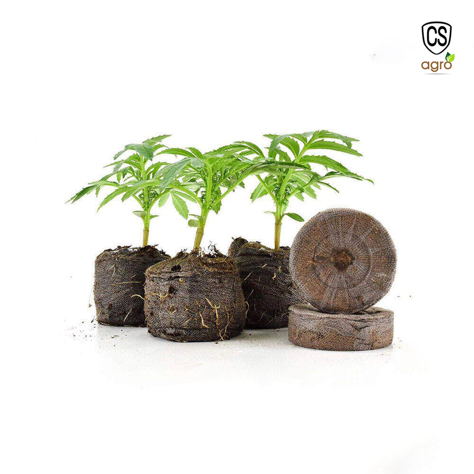 Jiffy Coco Plug, Seeds Planting Anthurium Flower 500 PCS 30mm | Daraz.lk