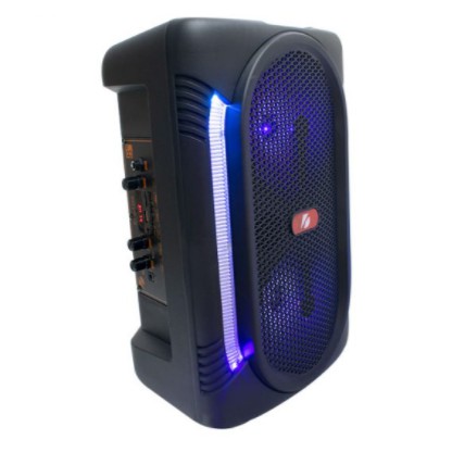 KTS-1329 Portable Bluetooth Karaoke Speaker with Wireless Microphone ...