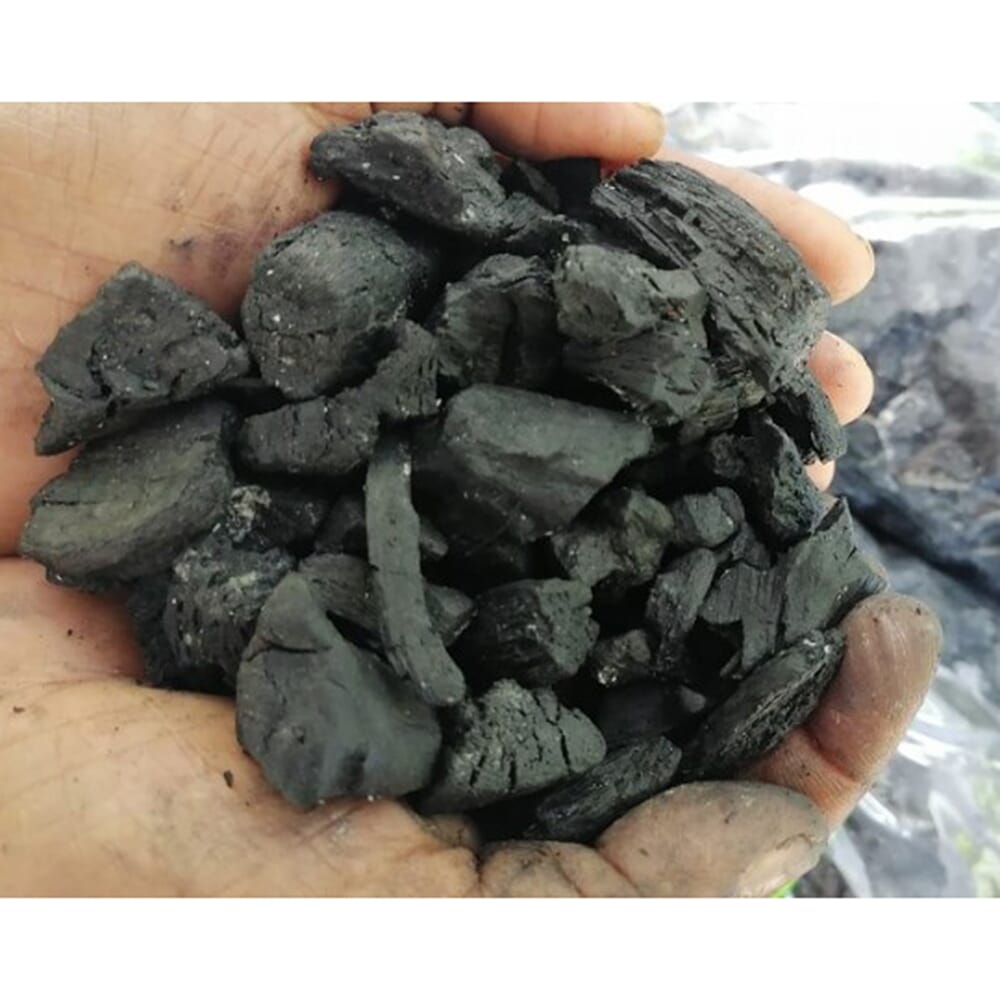 Bio Charcoal chips for orchid plant ඔකිඩ් සදහා අවශ්‍යය දර අගුරු කැබලි ...
