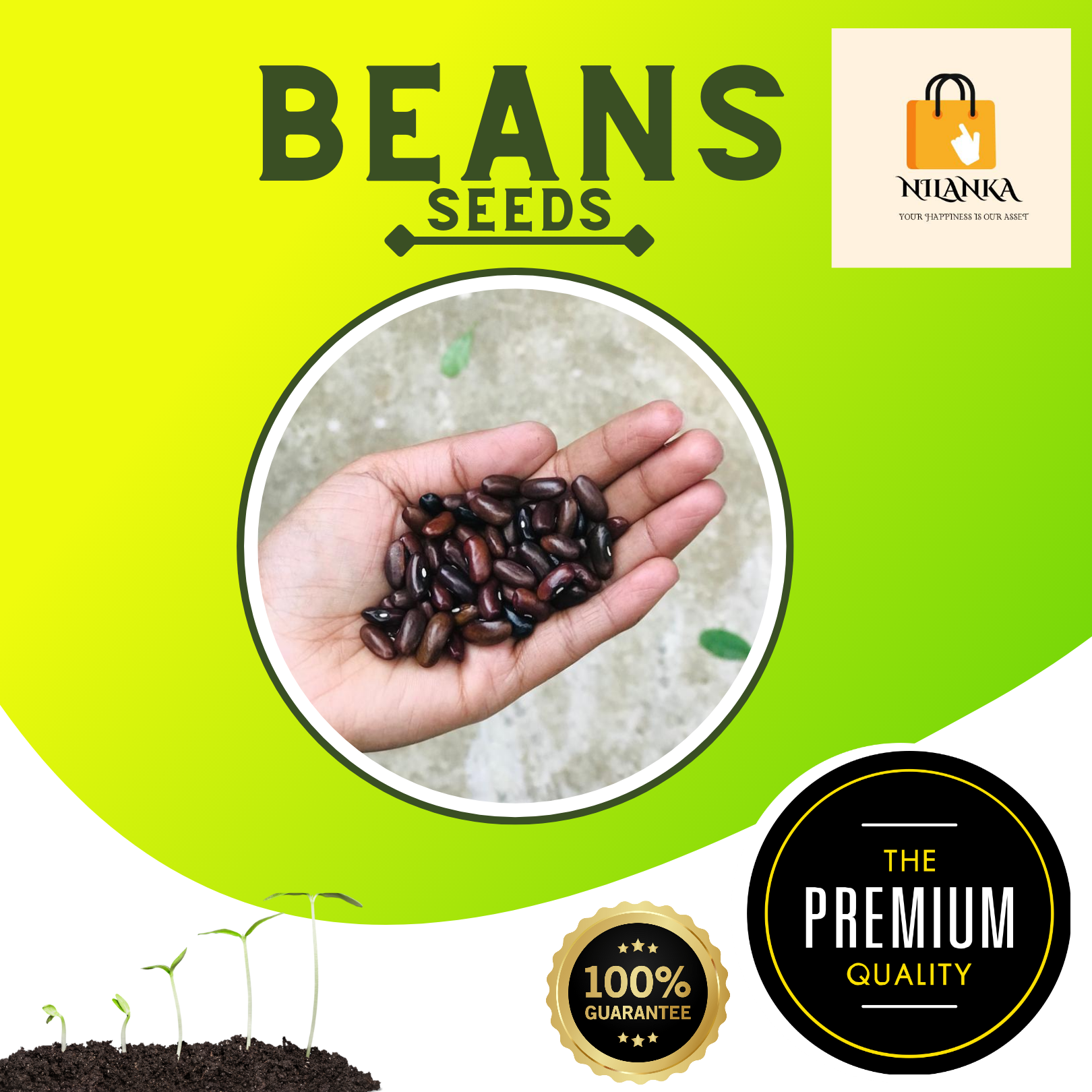 Beans seeds / green beans / bonchi | Daraz.lk