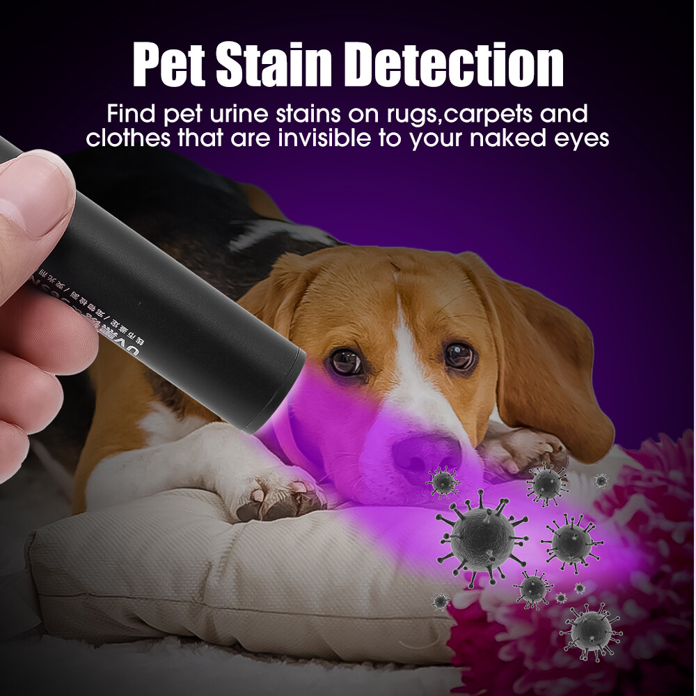 UV Flashlight 365nm Ultra Violets mini Ultraviolet Lanterna Invisible ...