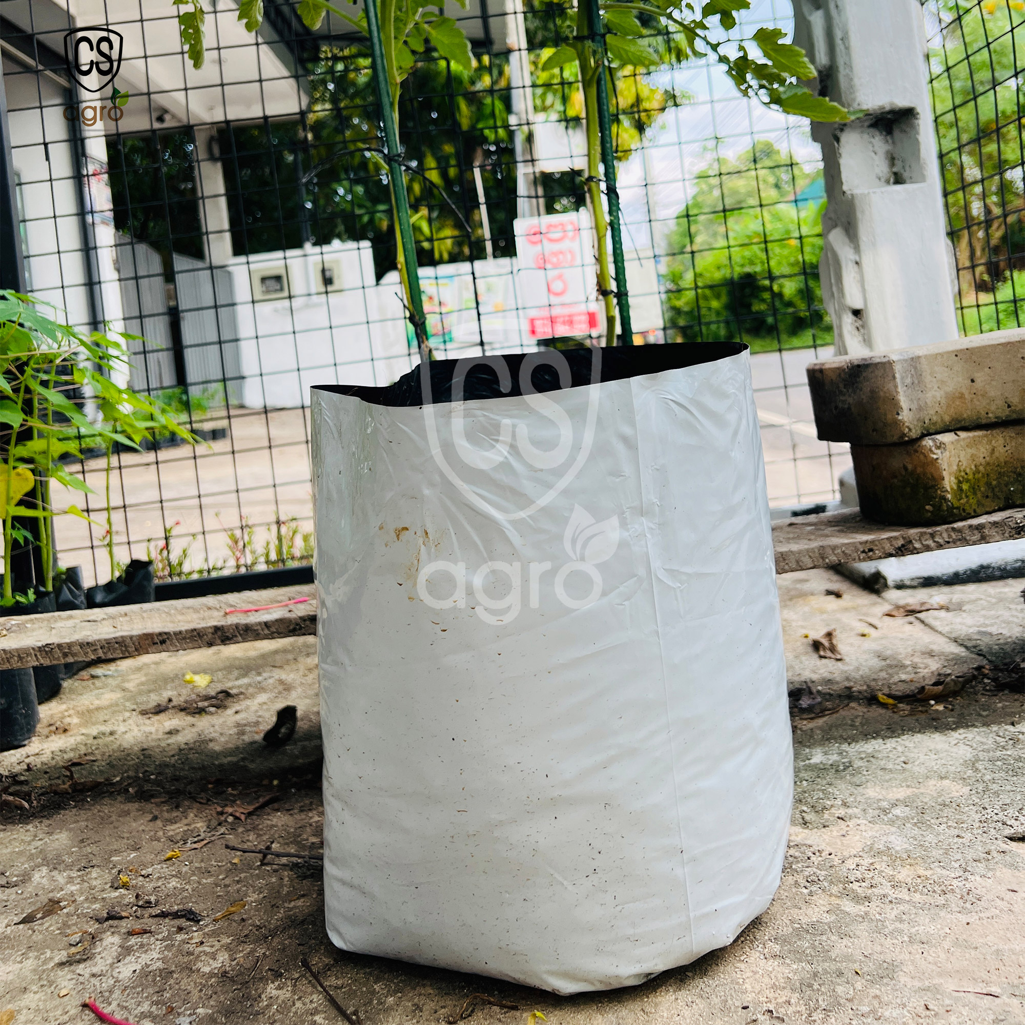 Coco Peat Potting Mix Treated with free 16X16 UV Grow Bag කොහුබත් බදුන් ...