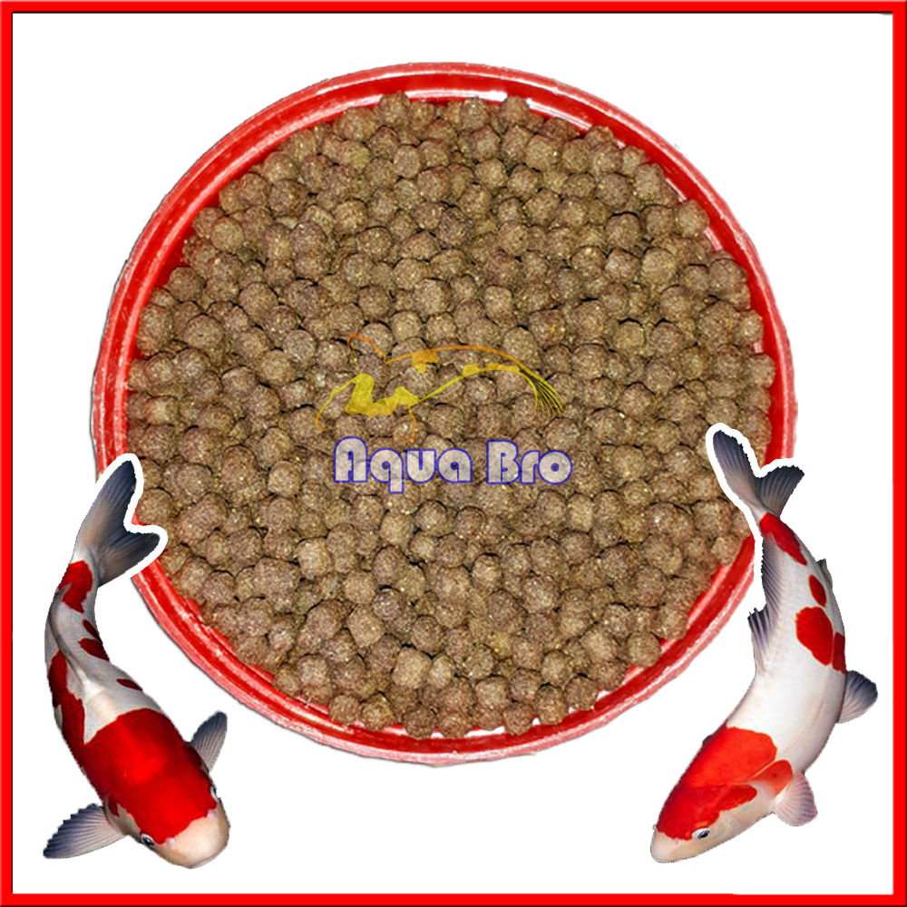 Til 300 Fish Food 500g Floating Fish Feed 3mm | Daraz.lk
