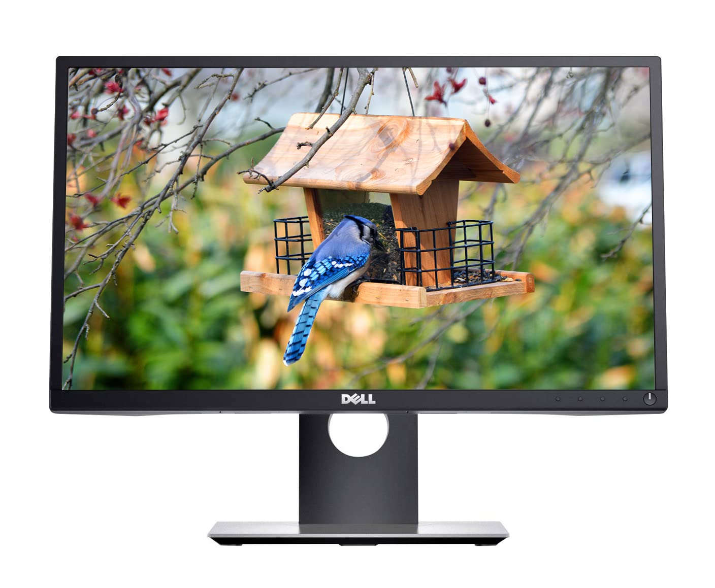 Dell 20 Inch P2017H Ips Full HD Hdmi Monitor | Daraz.lk
