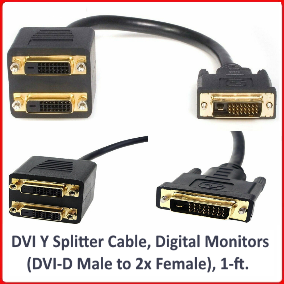 DVI Y Splitter Cable, Digital Monitors (DVI-D Male to 2x Female), 1-ft ...