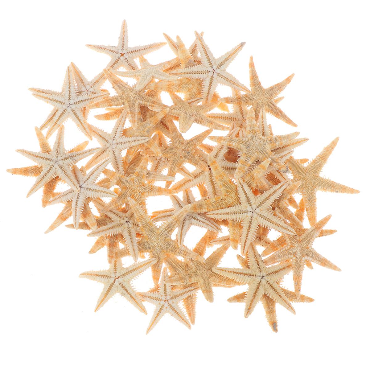 【wholesle668 Store】Sea 100pcs Mini Starfish Craft Decoration Stars ...