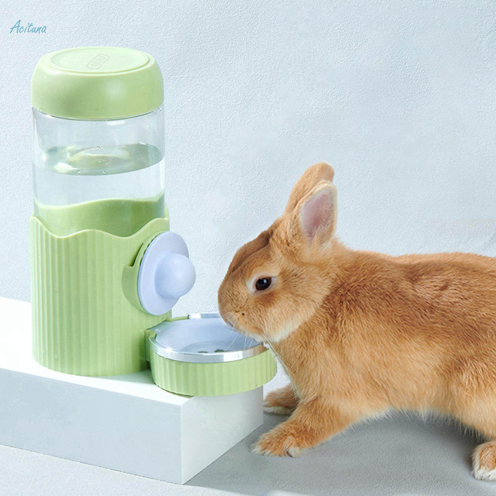Automatic Rabbit Water Drinker Feeder Portable for Quail Ferret Small ...