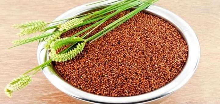 Kurakkan Seeds 1kg කුරක්කන් ඇට குரக்கன்(கேழ்வரகு) | Daraz.lk