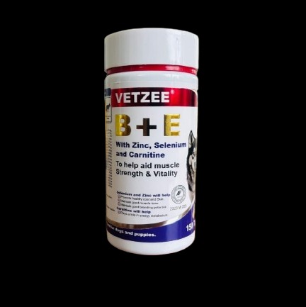 VETZEE B+E with Zinc and Selenium Tablets for Dogs | 150 Tablets | (B ...