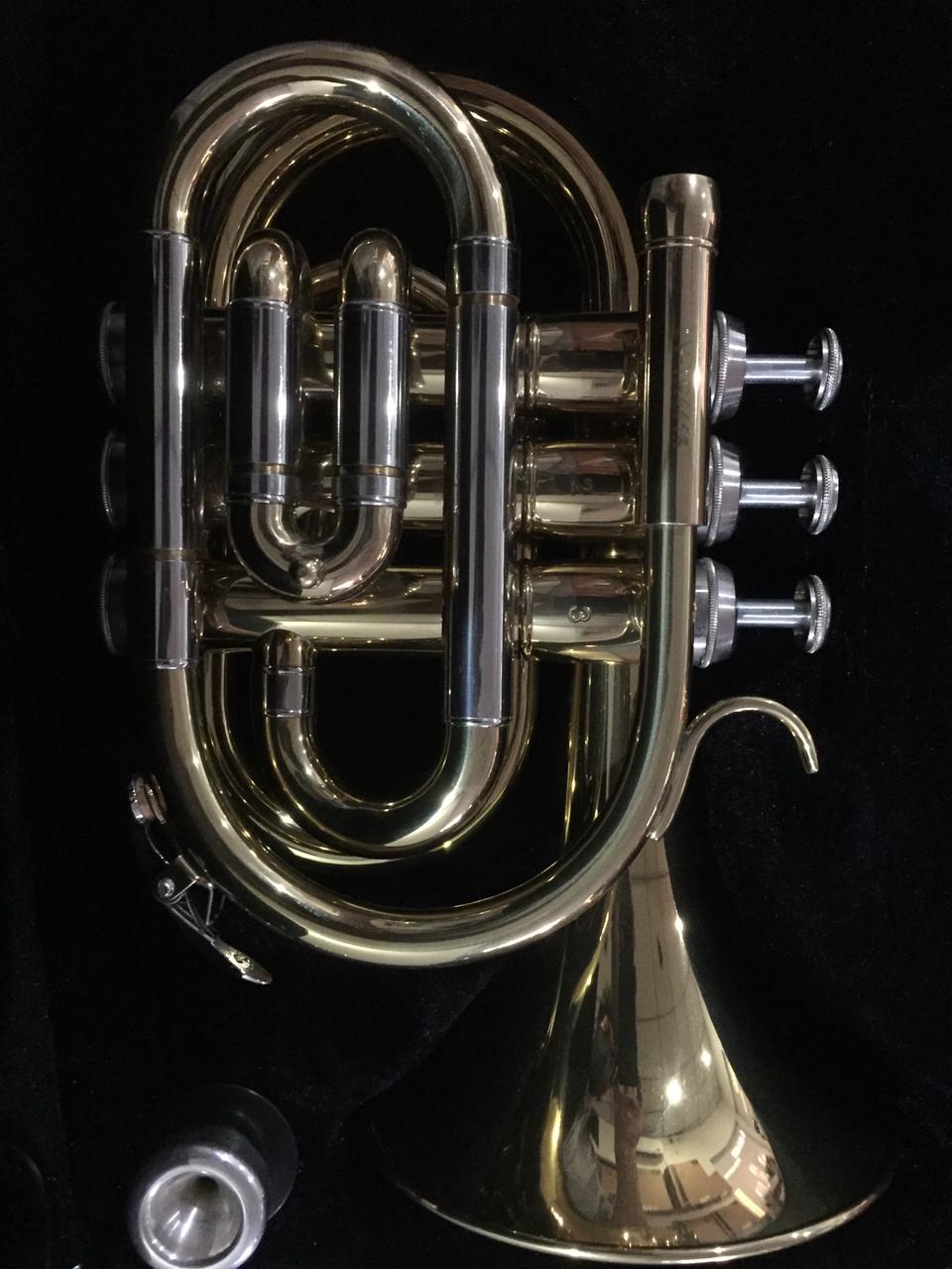 Stagg Levante Pocket Trumpet | Daraz.lk