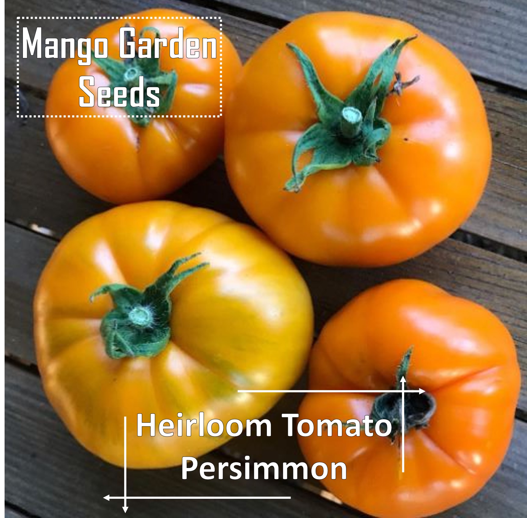 Heirloom Persimmon Tomato Seeds - 5 Seed *Pot Friendly* Tanam Pasu ...