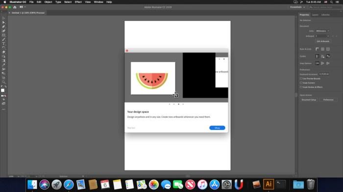 Adobe Illustrator CC 2019 Mac os | Daraz.lk