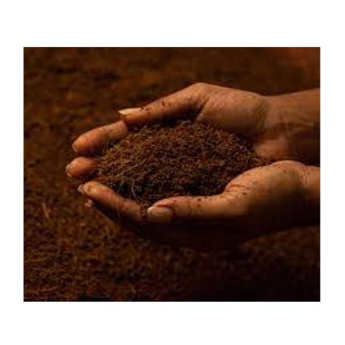 Coco Peat 2l Sterilizing Fertilizer Agriculture Kohubath Growing Media ...