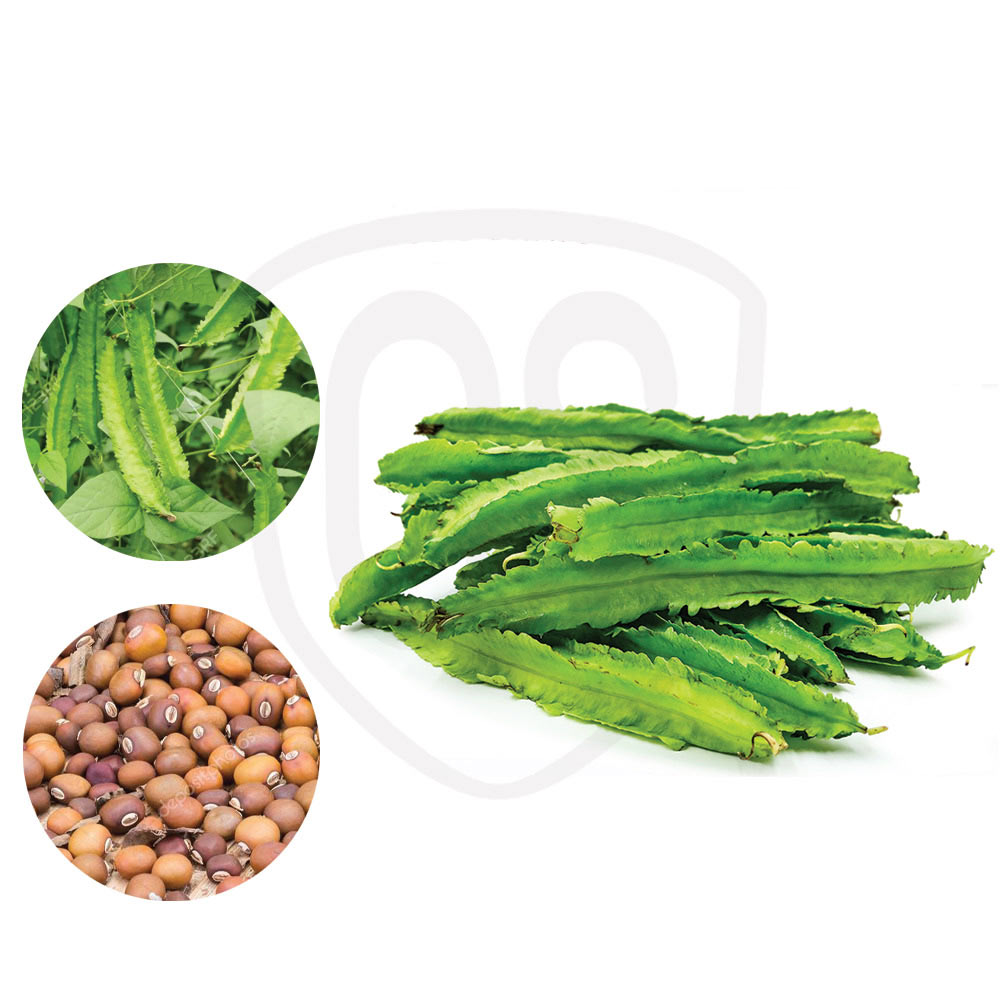 Wing Bean SLS44 Seeds Gardening Agriculture Home Dambala beeja | Daraz.lk