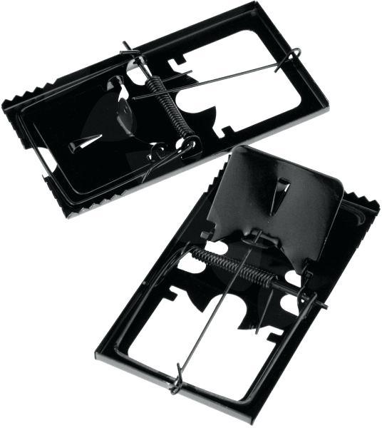 Metal Mouse Trap 2 Pieces from Einstein | Daraz.lk
