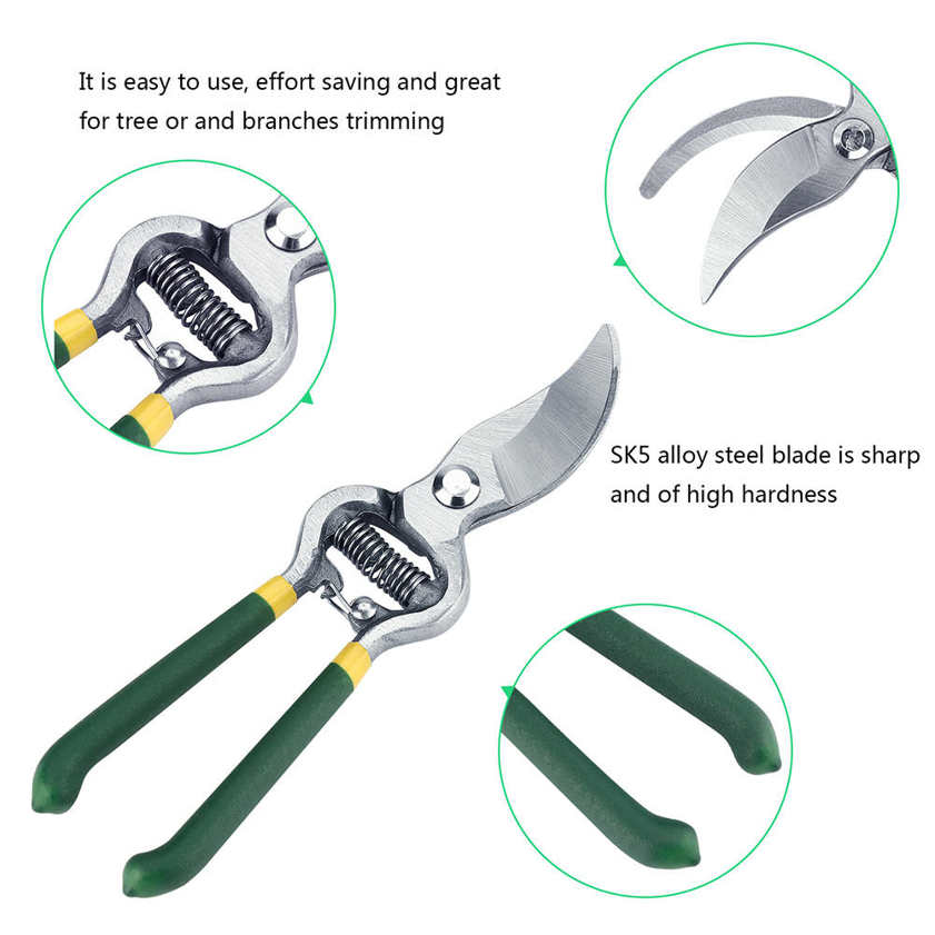 Robust fruit tree bonsai secateurs grafting tools | Daraz.lk