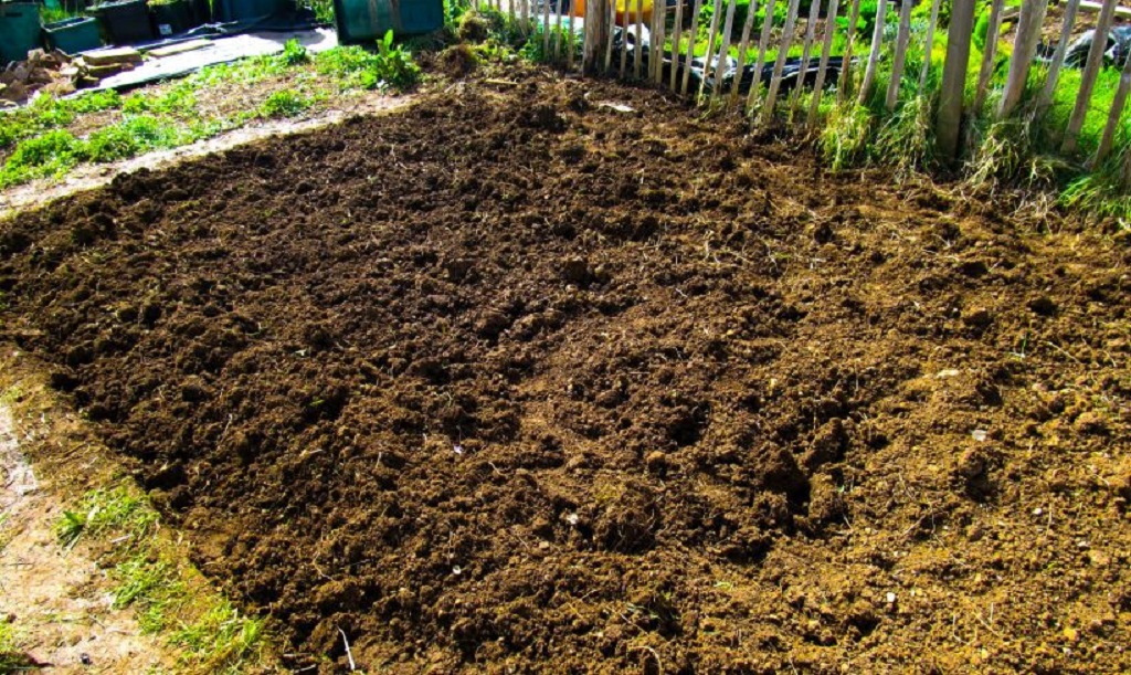 Cow Dung (Goma Pohora) 1kg good for planting uria fertelizer | Daraz.lk