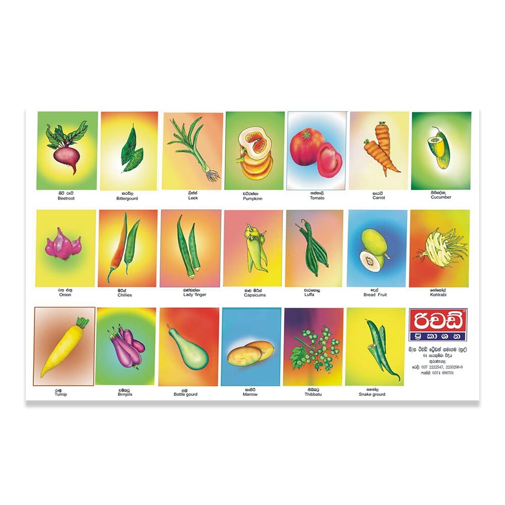 Richard Picture Paper - Vegetables - 25 Sheets | Daraz.lk