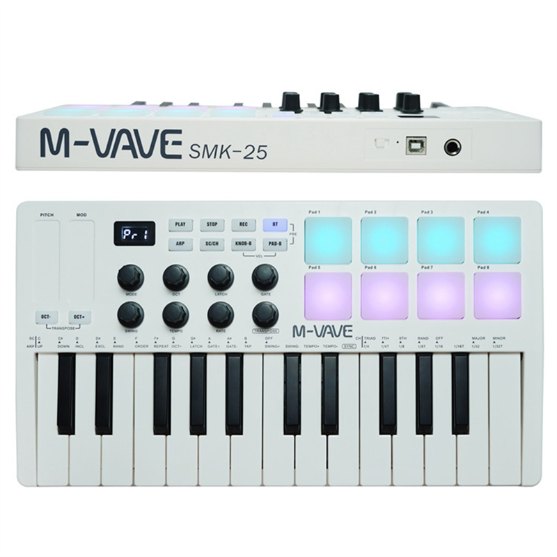 Midi Keyboard Midi Controller Portable Arranger Keyboard | Daraz.lk
