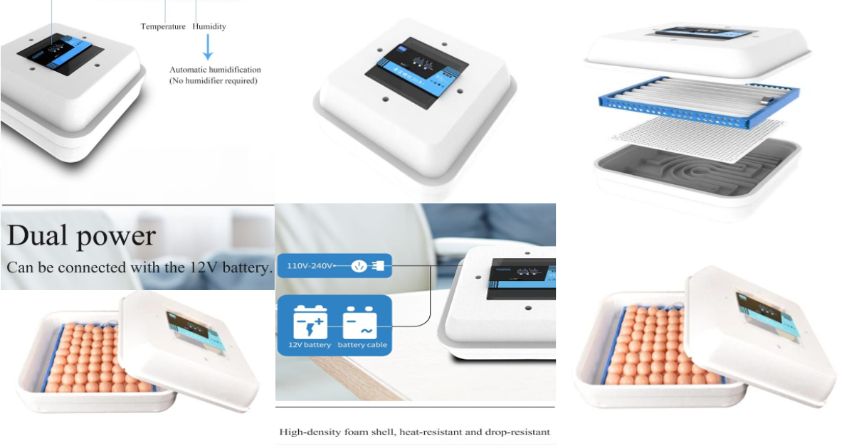 NLF55-64 Egg Incubator Fully Auto REGIFORM TYPE | Daraz.lk