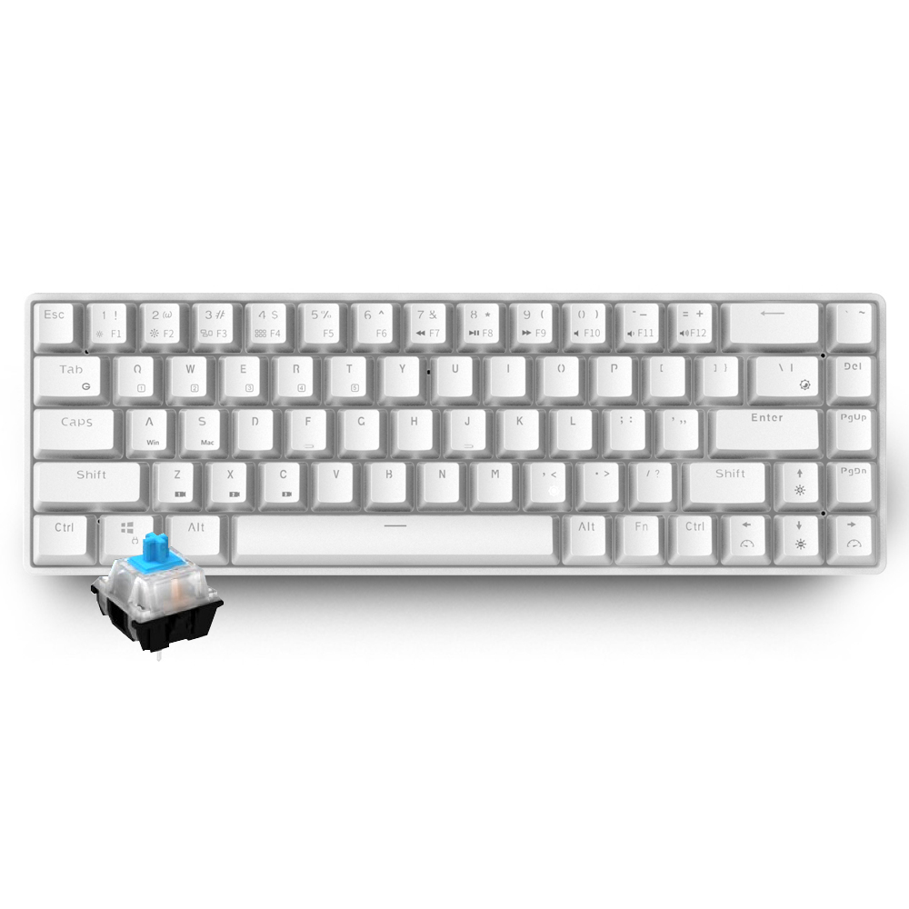 RK855 BT&Wired Dual Mode Keyboard White Backlight 68 Key Mini ...