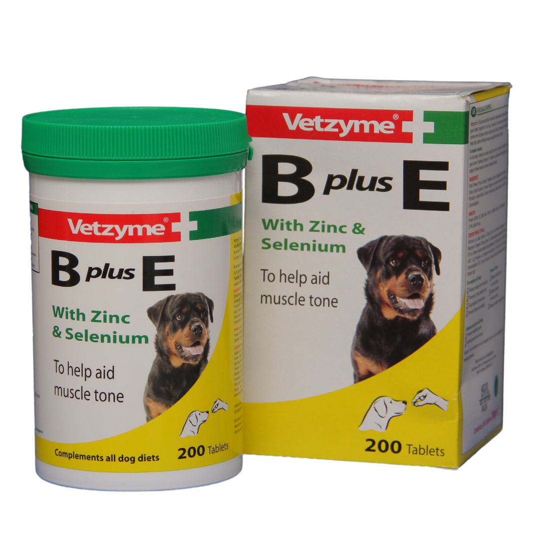 Vetzyme Puppy Dog Vitamins & Supplement B Plus E With Zinc & Selenium ...