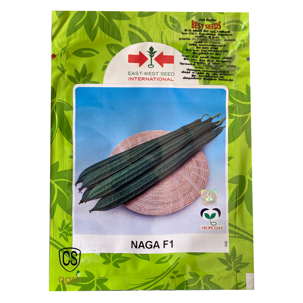 Ridge Gourd Luffa Naga F1 Hybrid seeds Home Garden Best Seed East-west ...