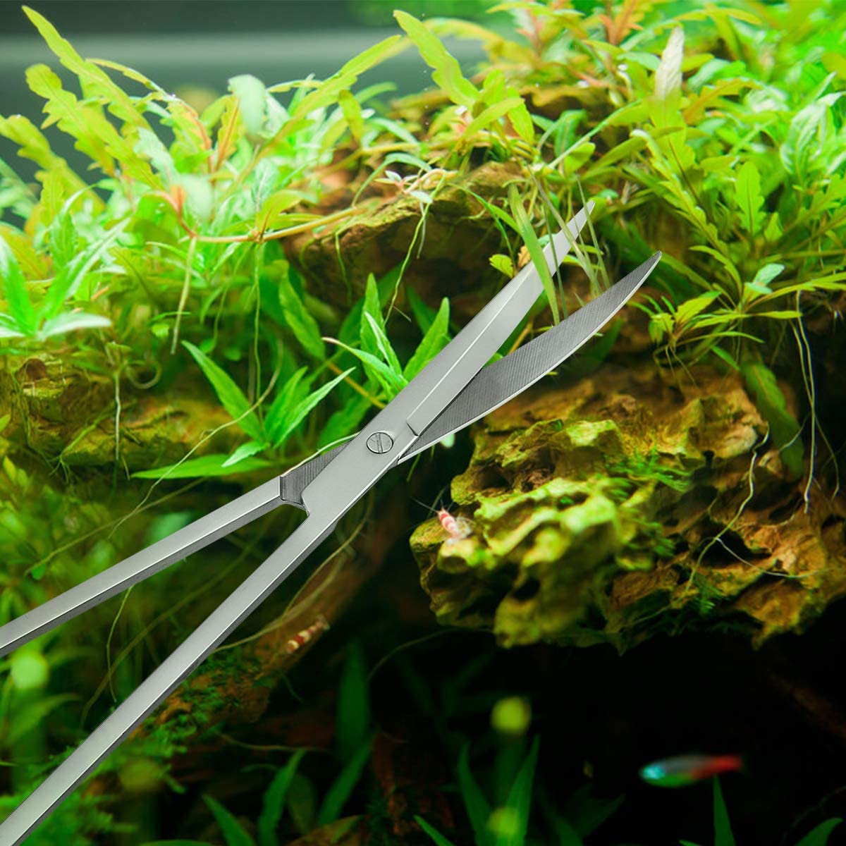 BOYU WPS-02 Aquarium Plant Curved Scissor - High-Grade Stainless Steel ...