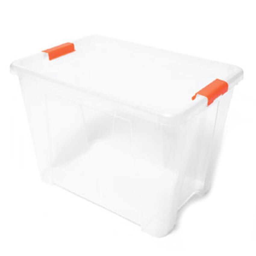 Phoenix Sri Lanka: Phoenix Official Online Store - Daraz.lk