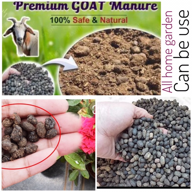 Goat Dung 2KG |Compost |Fertilizer| Agriculture | Soil Mixing ...