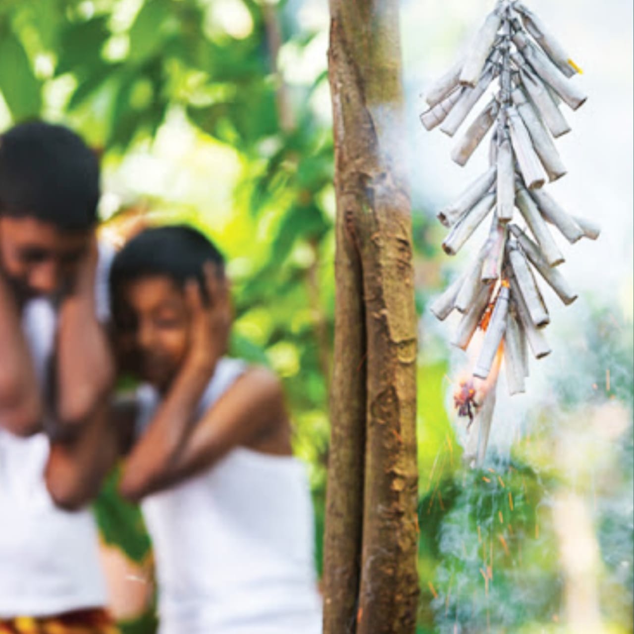 fireworks Crackers [Rathinna] wla (Wal) | Daraz.lk