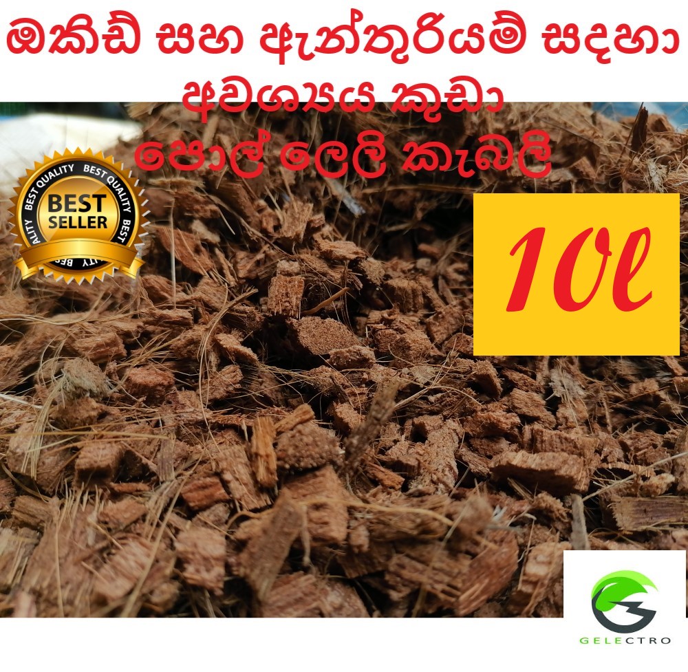 small size coco chips , කුඩා පොල්ලෙලි කැබලි ඇන්තූරියම් සහ ඔකිඩ් සදහා ...