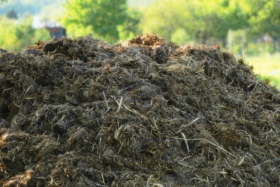 Cow Dung Organic Compost & Manure Fertilizer Soil Conditioner Plant-s ...