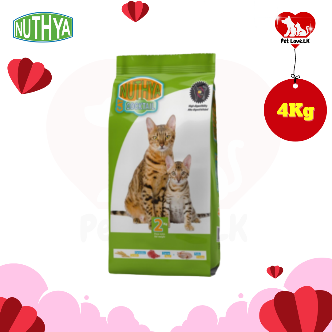 Nuthya Cocktail Cat Dry Food Fresh Pack 4Kg | Daraz.lk