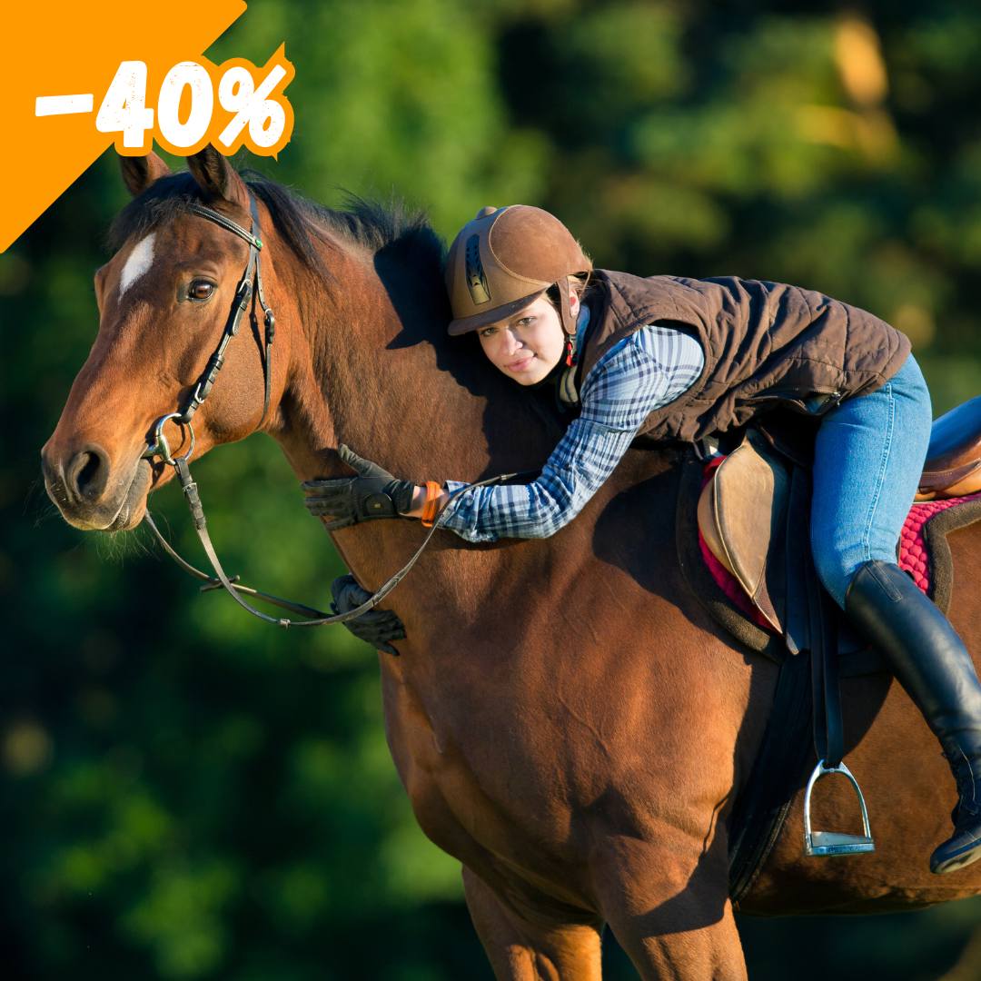 Feelo - Buy Feelo at Best Price in Srilanka | www.daraz.lk