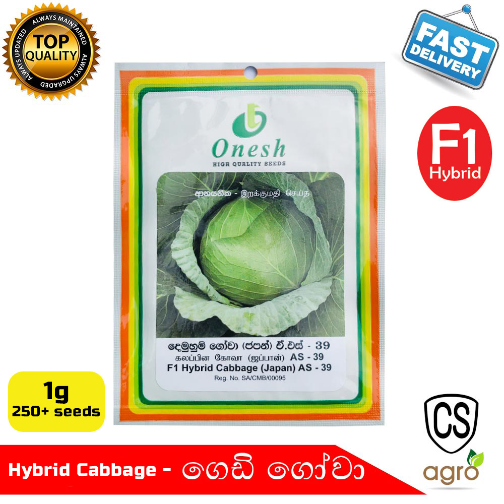 Cabbage F1 Hybrid Japan AS-39 Seeds 99% 1g Gedi Gowa Gardening ...