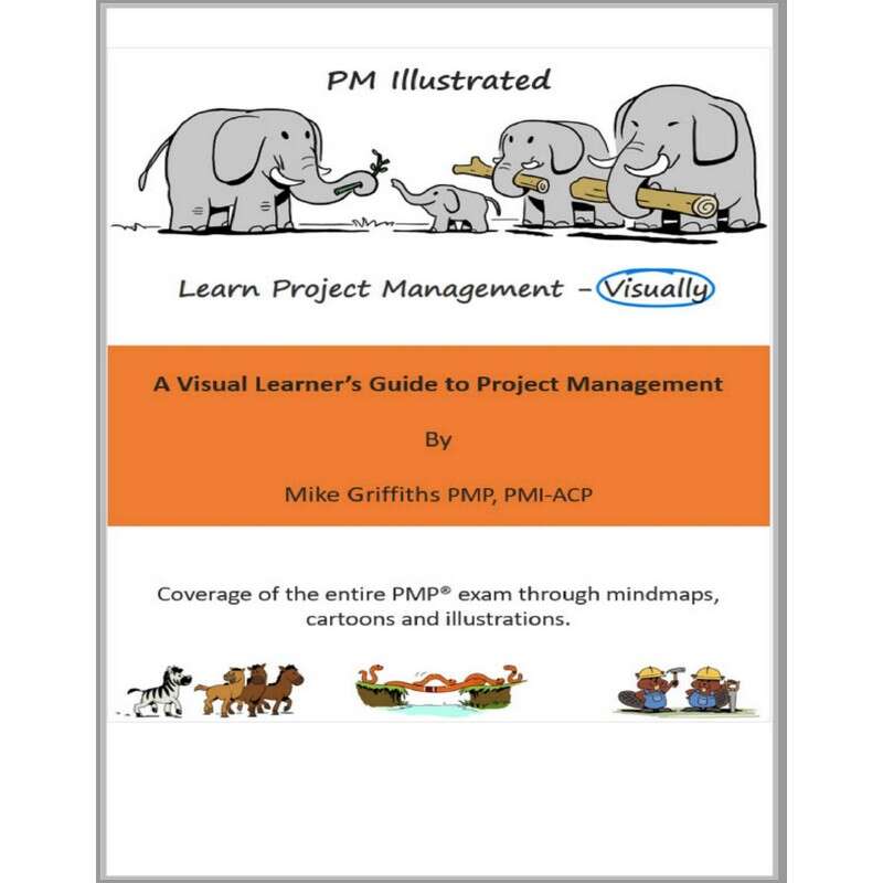 PM Illustrated A Visual Learners Guide to Project Management | Daraz.lk