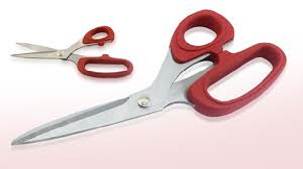 IDEAL STAINLESS STEEL SCISSOR | Daraz.lk
