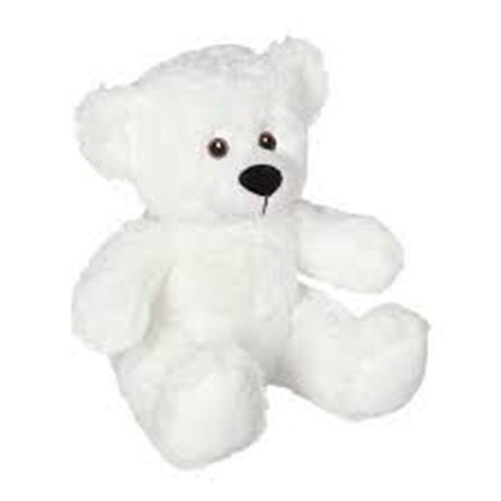 GAS 2 ft Teddy Bear - White | Daraz.lk