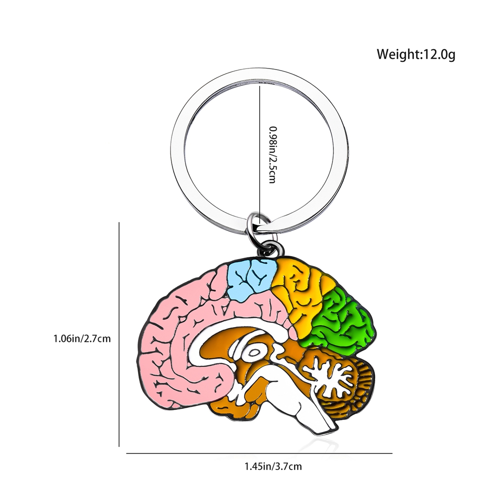 Hanreshe Medical Brain Enamel Keychain Neurology Anatomy Psychology ...