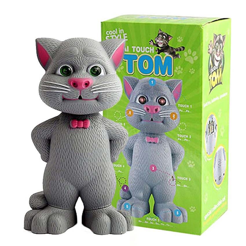 Talking Tom Cat Toy With Sound Recording | Daraz.lk