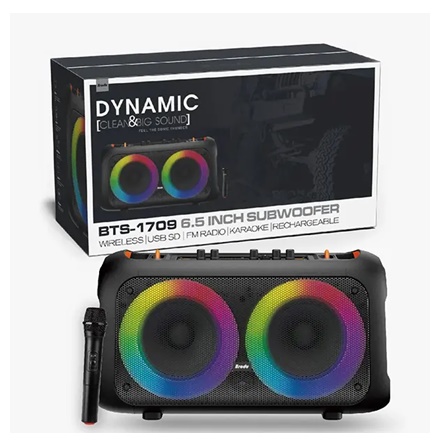 Brodu BTS-1709 Bluetooth Karaoke Speaker Rechargeable Party Speaker ...