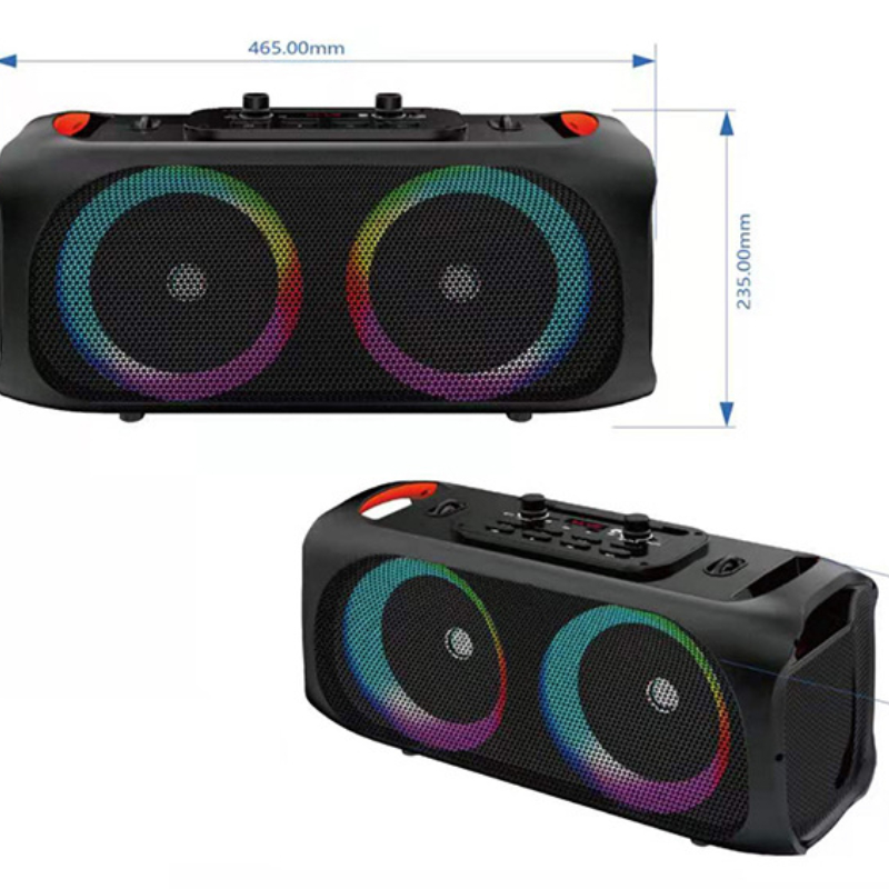 BTS 1709 party box speaker oudoor karoake speaker with wireless mic ...