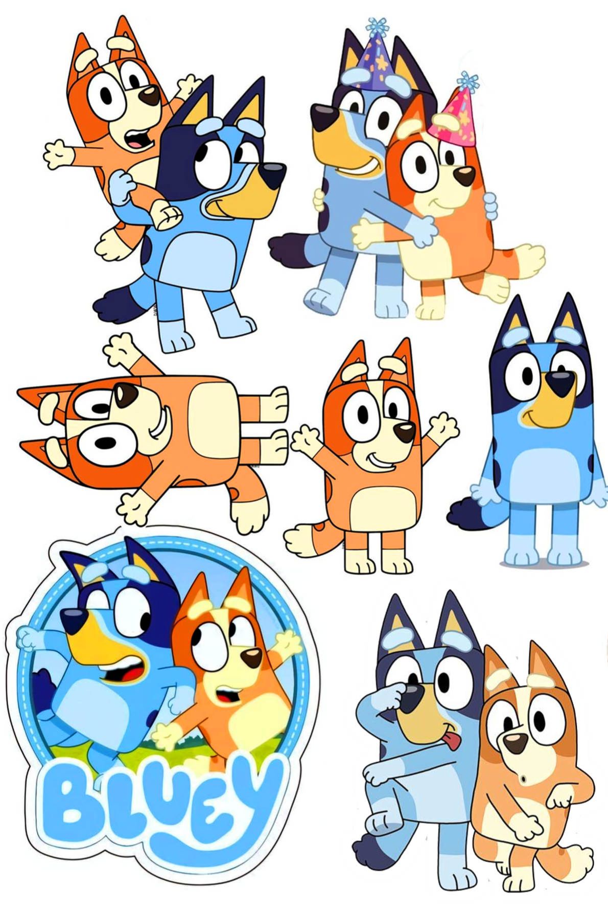 Birthday Decoration Bluey Balloon set With Banner Bluey Theme Full Set ...