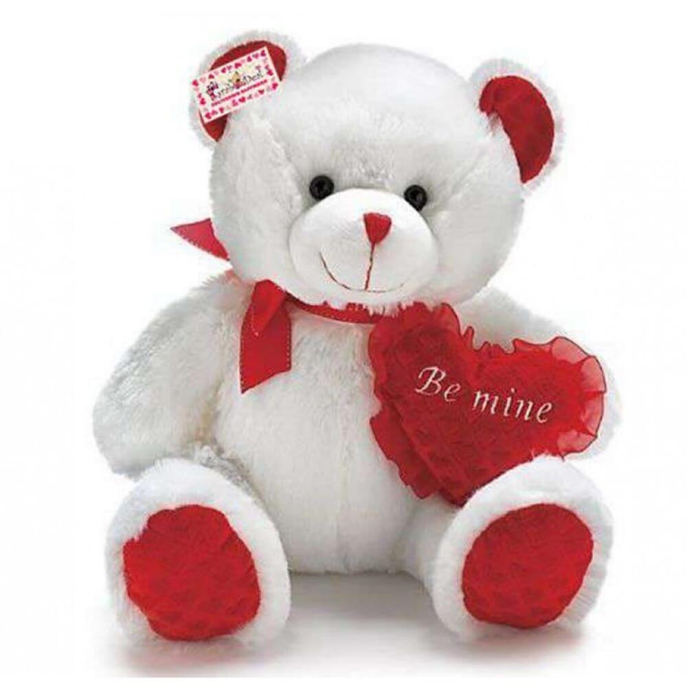 GAS 2 ft Teddy Bear - White | Daraz.lk